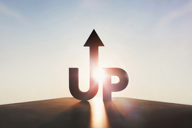 History - QuantumCat